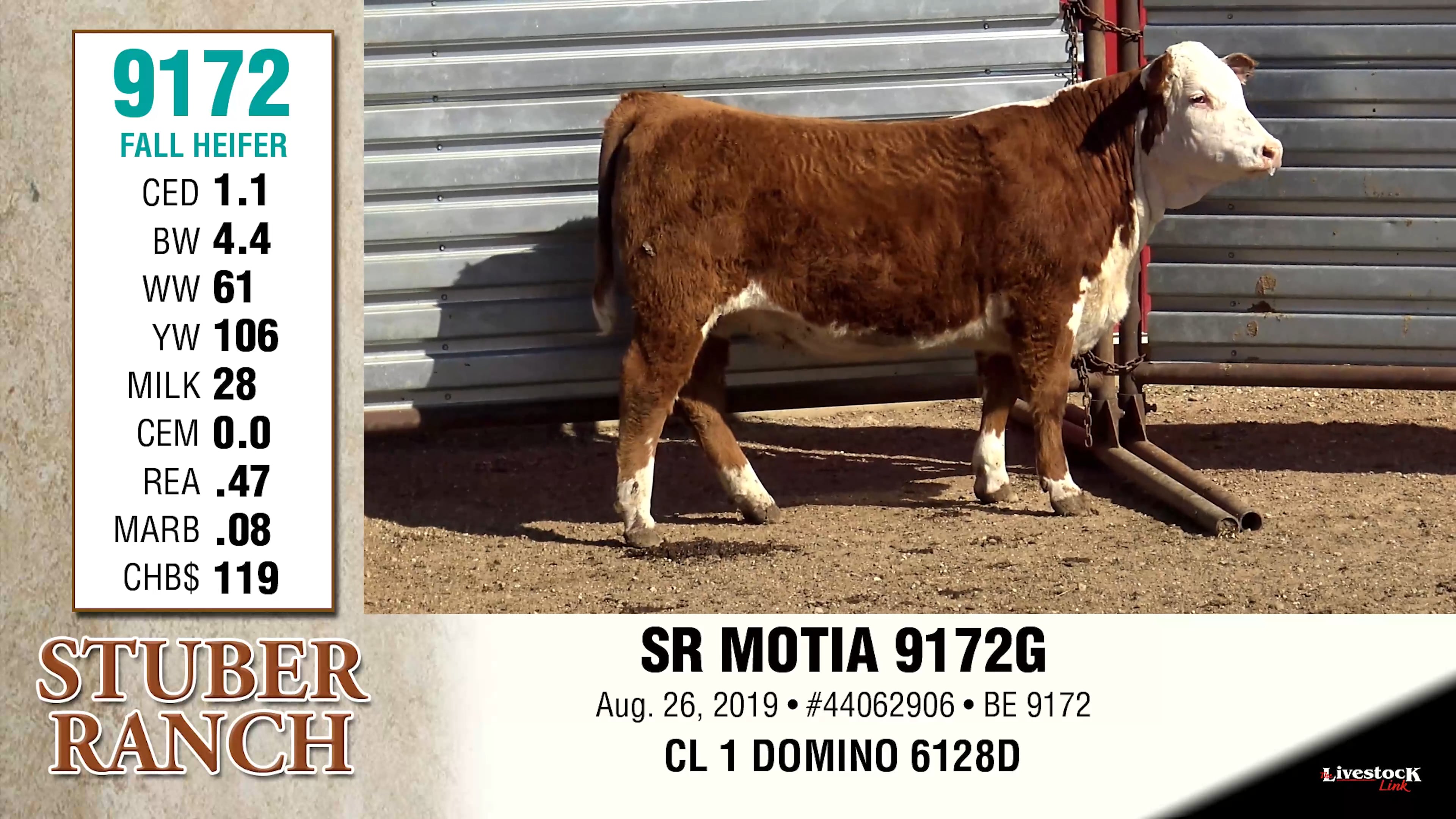 Stuber Ranch - Lot 9172 on Vimeo