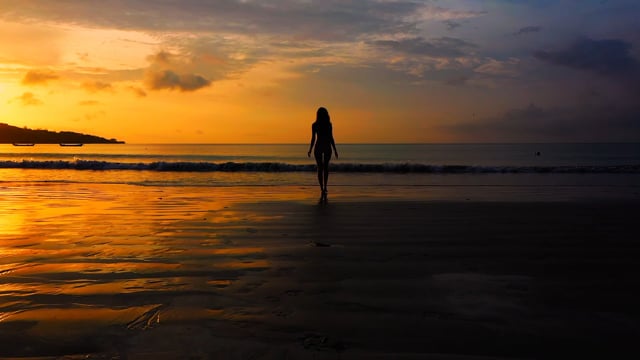 Https Cdn Pixabay Com Vídeo 2021 - Free video on Pixabay - Pixabay