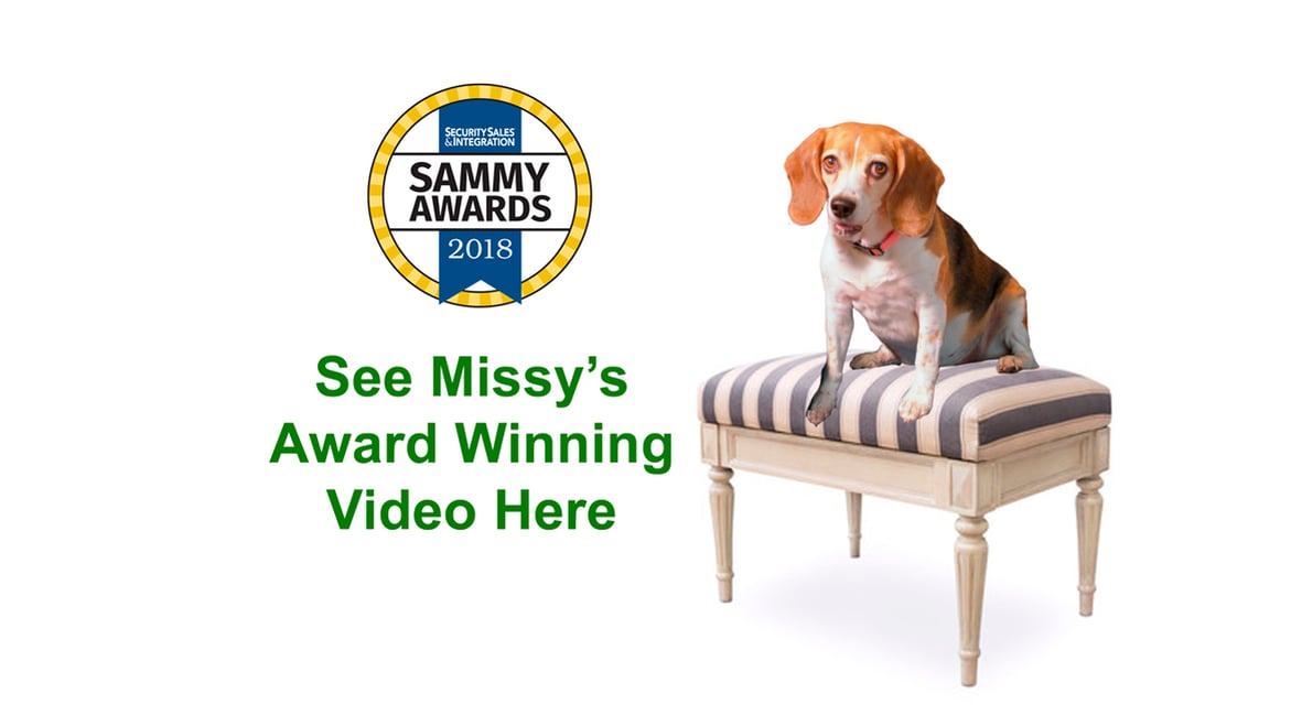 2018 Sammy Award Winner... Missy on Vimeo