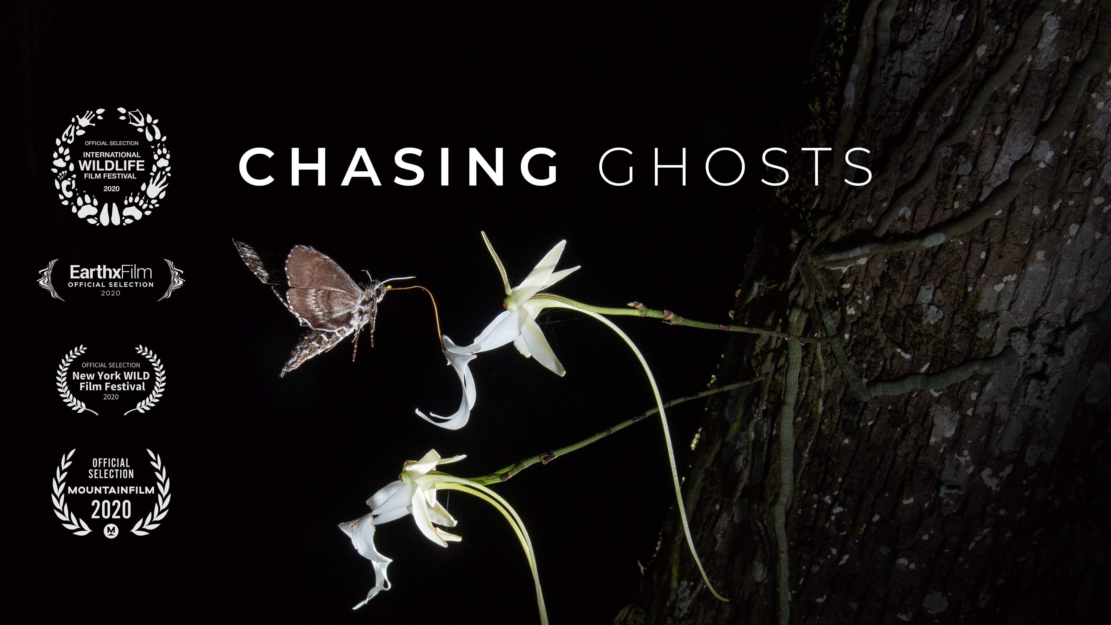 CHASING GHOSTS | OFFICIAL SCREENER | © GRIZZLY CREEK FILMS on Vimeo