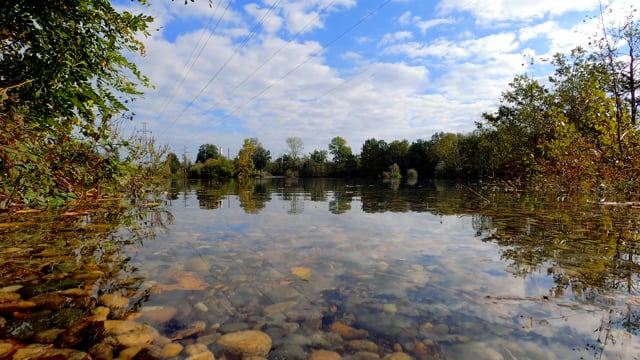 Lake River Stream - Free video on Pixabay