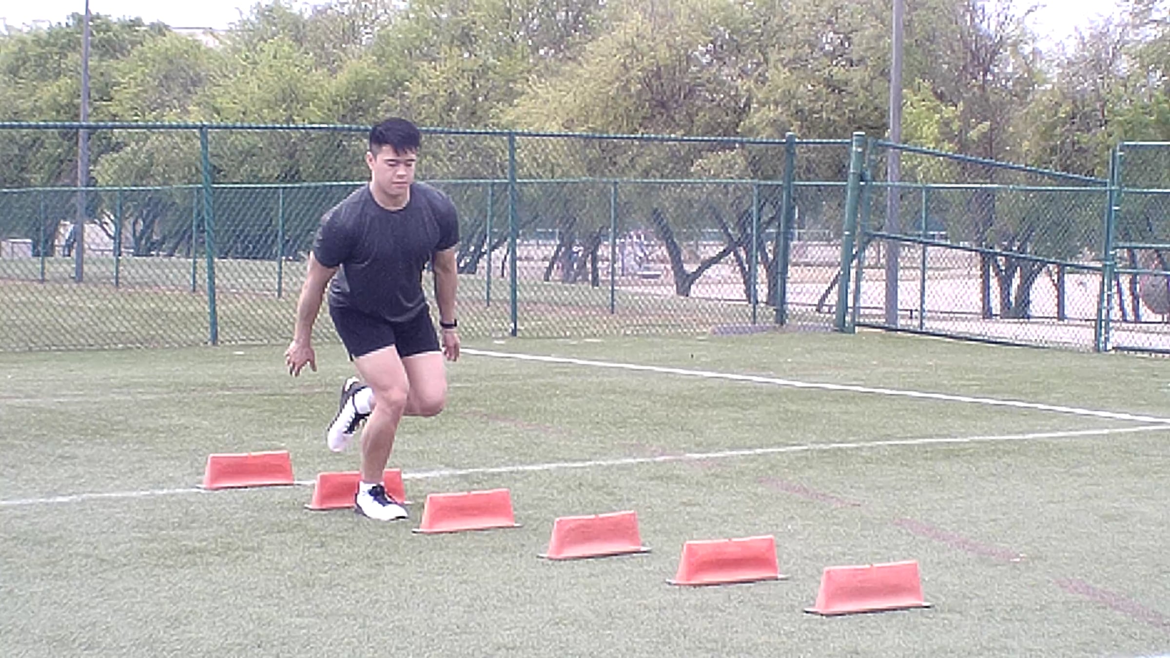 Rotational Hurdle Hop and Stick