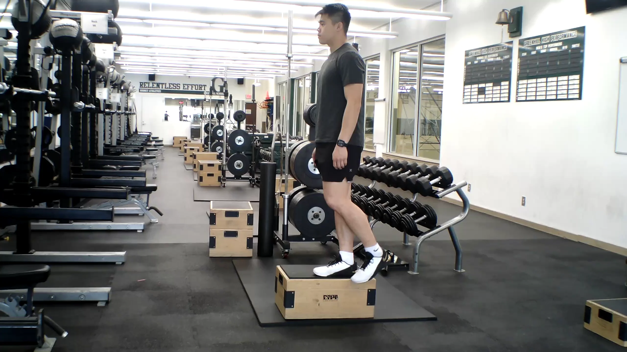 Lateral Box Step Off and Stick 2 legs
