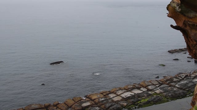 Beach, Tide, Travel. Free Stock Video - Pixabay