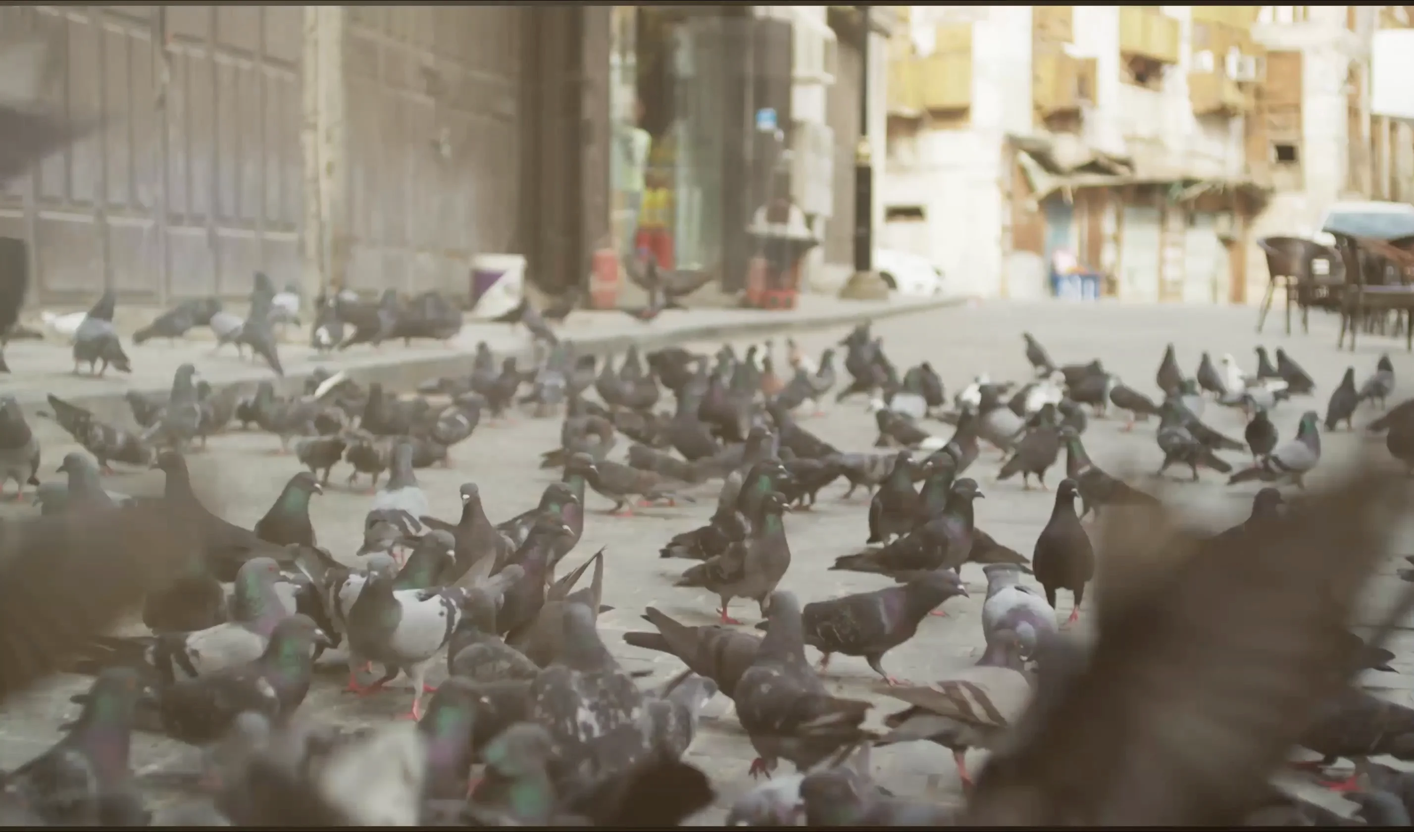 "MoC-KSA-launch" on Vimeo