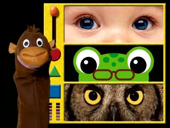 Baby Einstein - Baby da Vinci from Head to Toe