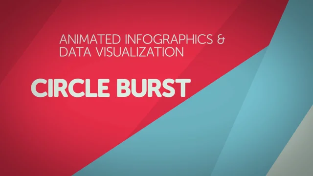 Simple Infographic Animation