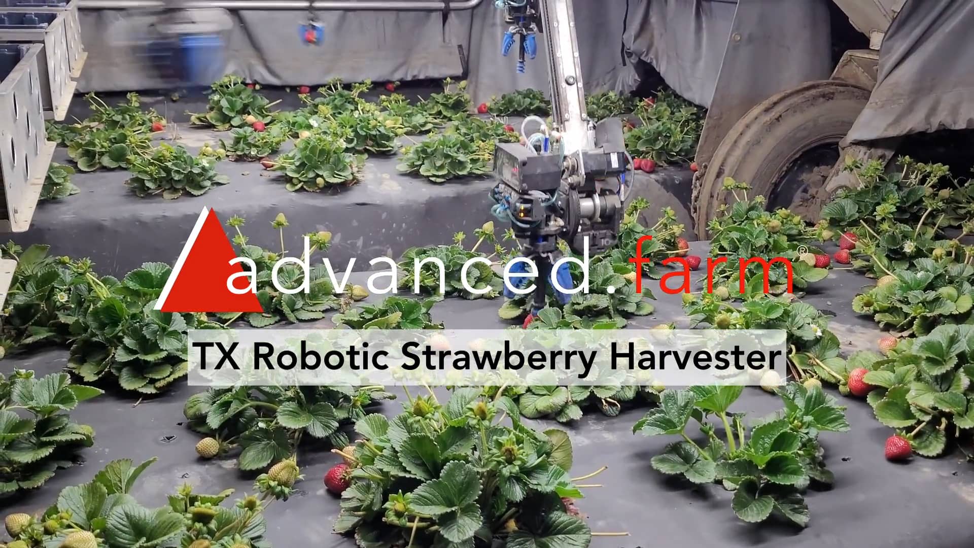 advanced.farm TX robotic strawberry harvester on Vimeo