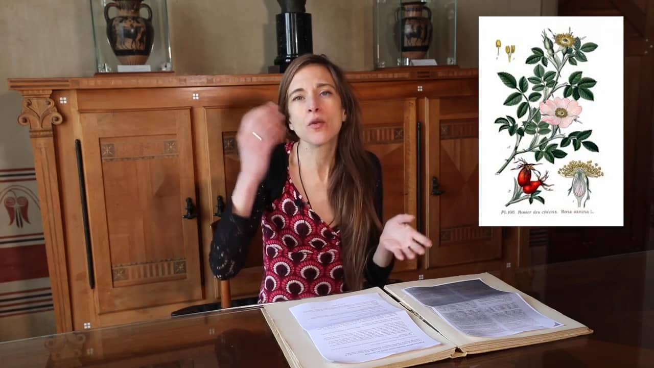 La rose dans l’Antiquité gréco-romaine - Laure de Chantal on Vimeo