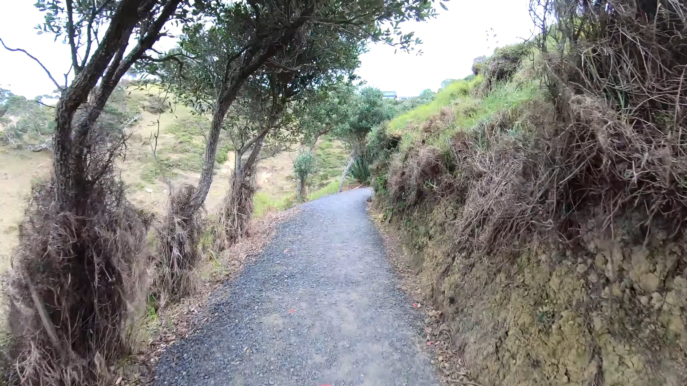 Virtual Running Videos For Treadmill 4K Virtual Run Jogging Scenery.mp4