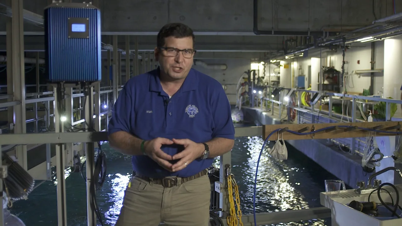 Behind the Scenes: Diving at the Aquarium on Vimeo