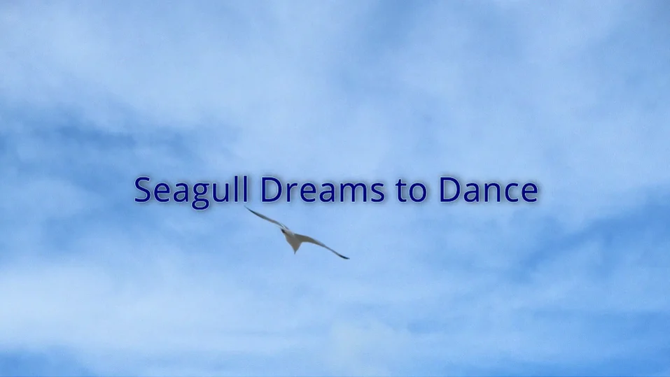 Seagull Dreams to Dance on Vimeo
