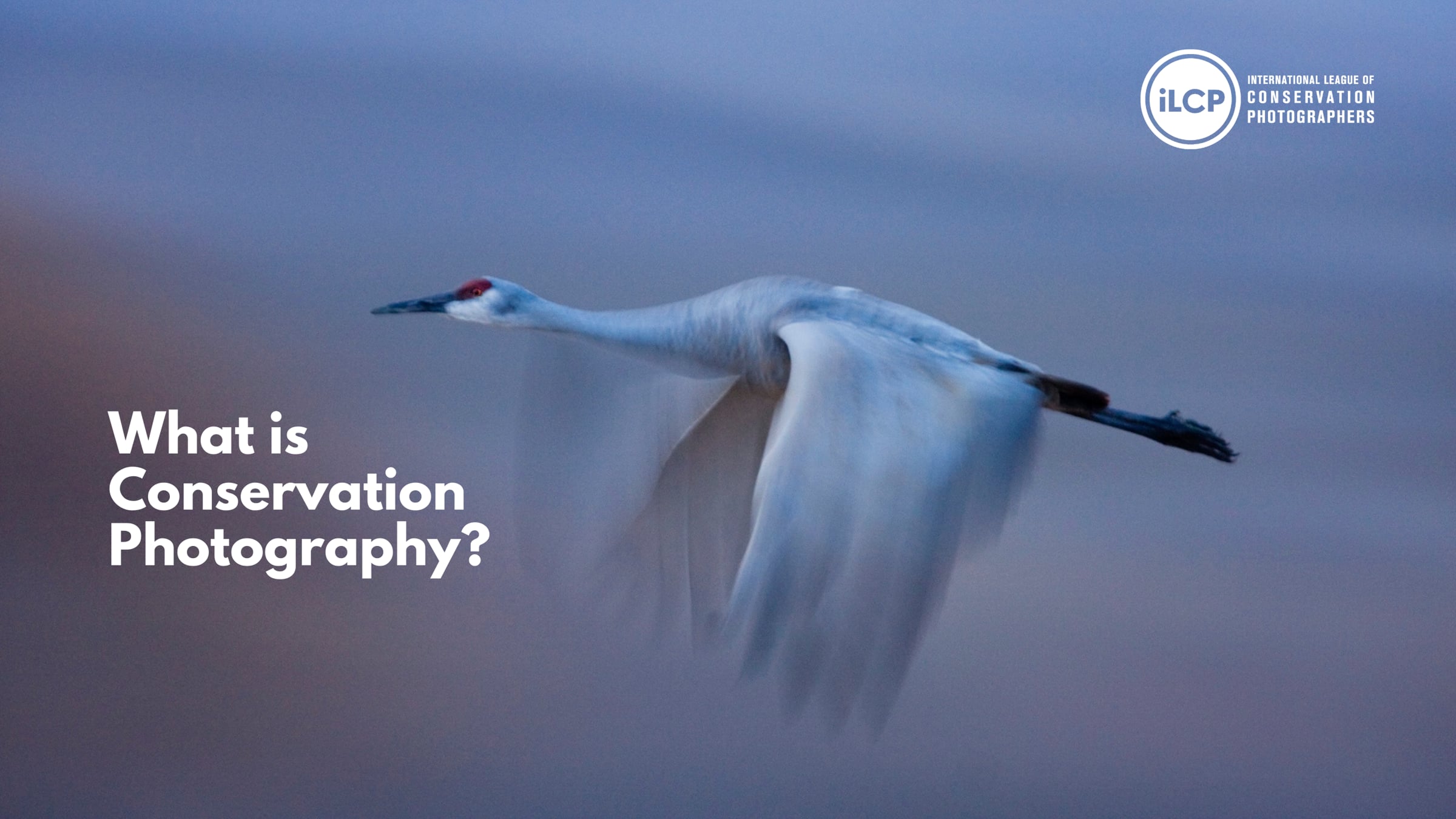 What is Conservation Photography?