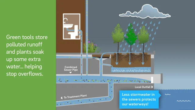 Stormwater Runoff Diagram