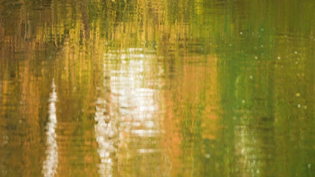 Reflection Lake Water - Free video on Pixabay