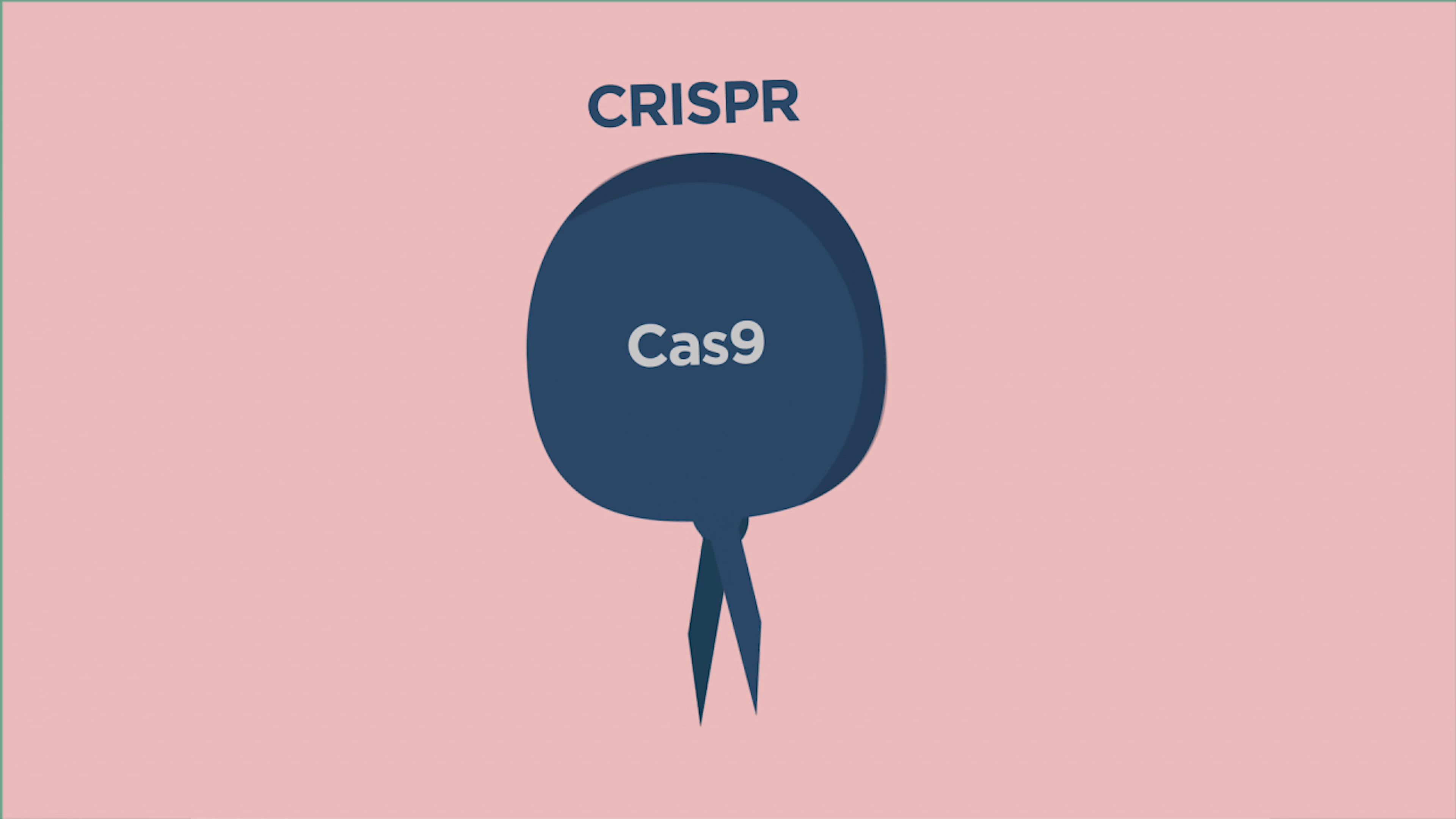 The revolutionary CRISPR-Cas9 gene editing tool