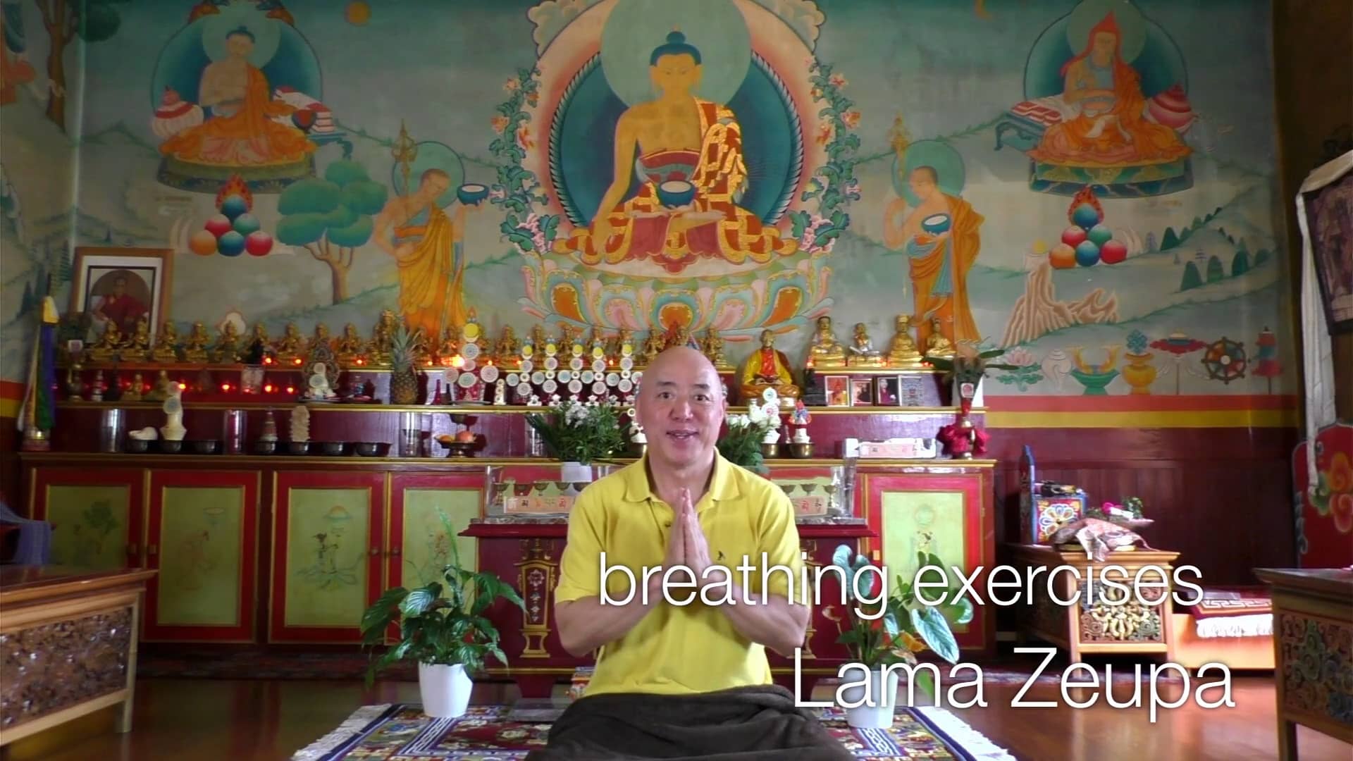 Breathing Exercises Lama Zeupa 20210406 on Vimeo