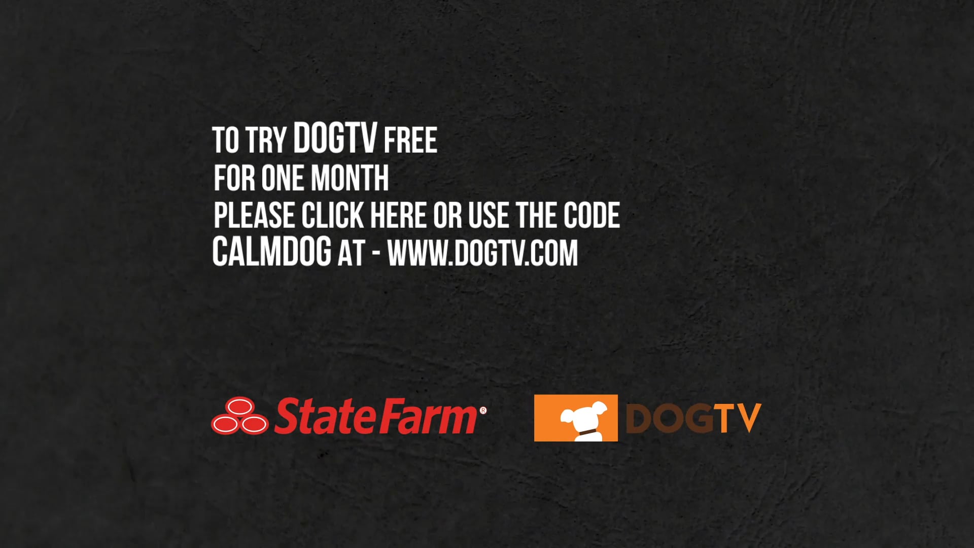 DOGTV and State Farm dog bite prevention videographic on Vimeo