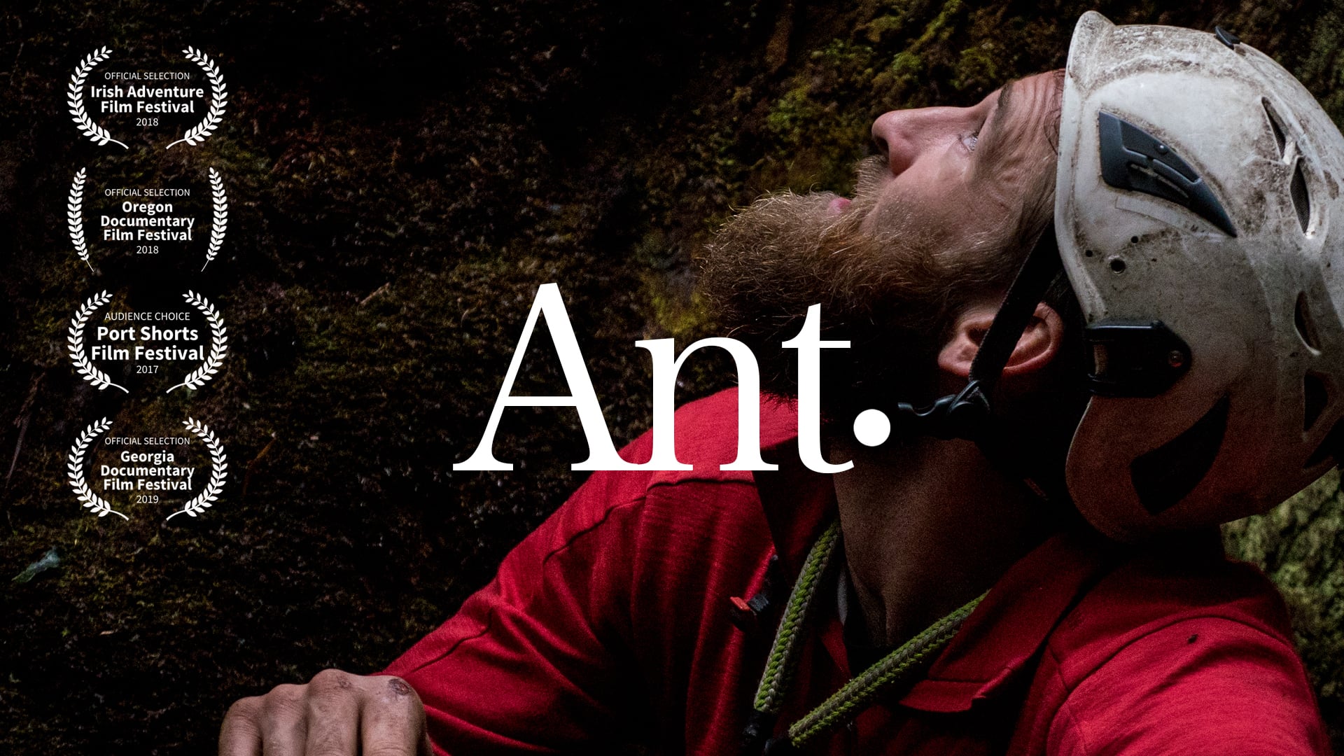 Ant. on Vimeo