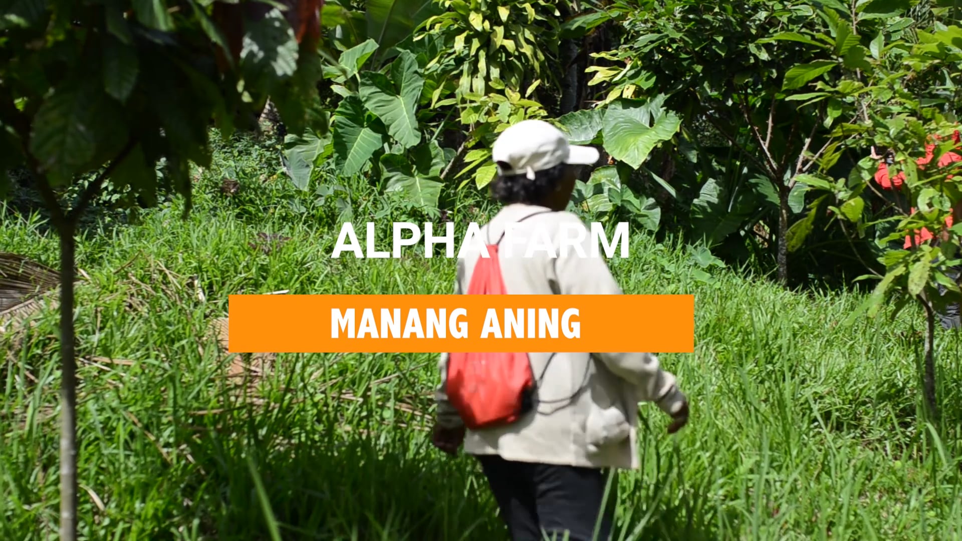 Nang Aning.mp4 on Vimeo