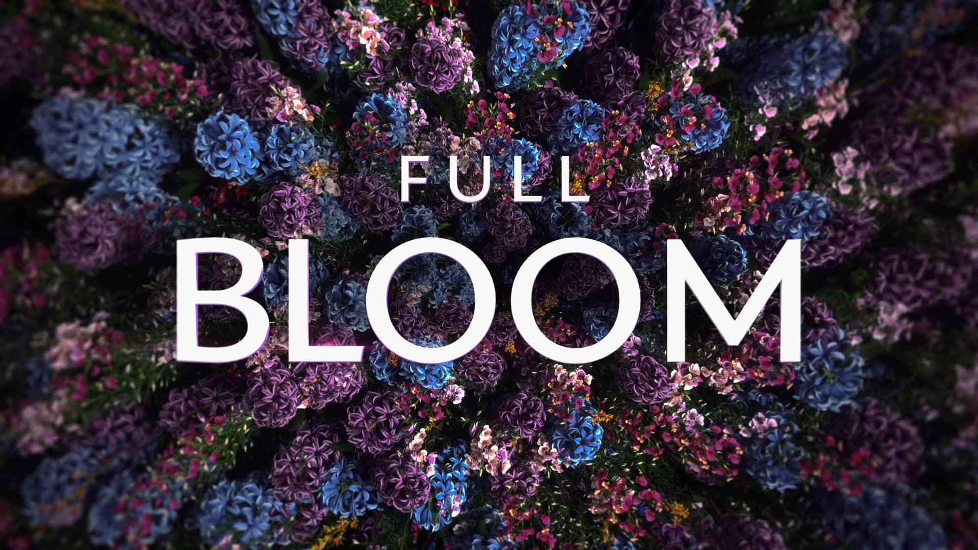 FULL BLOOM / MAIN TITLE on Vimeo