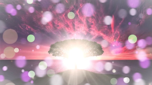 Magic, Tree, Portal. Free Stock Video - Pixabay