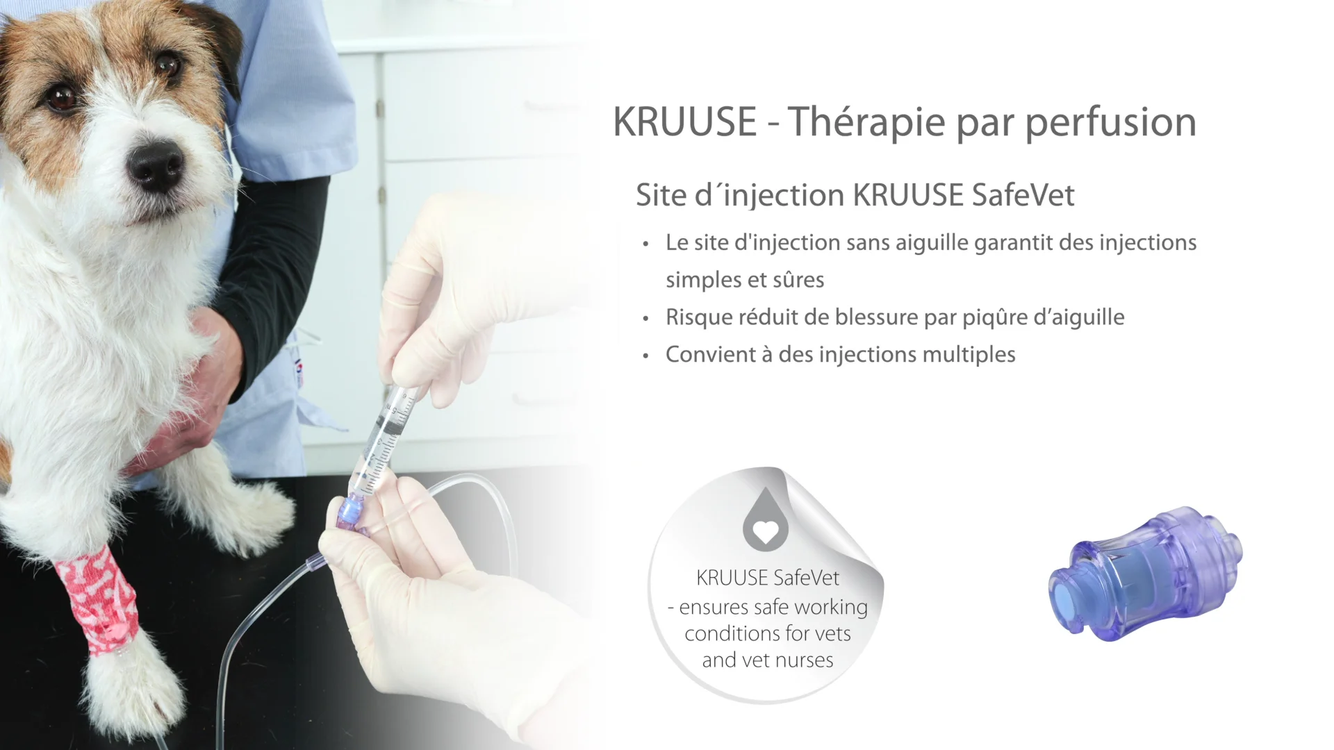 Video to web & download - Site d´injection KRUUSE SafeVet FR.mp4 on Vimeo
