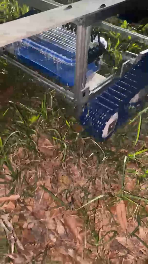 Benthic Rover Deep Grass Movement on Vimeo