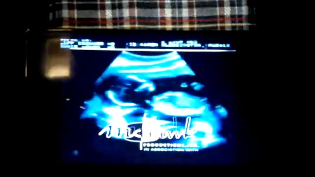 Fortis ProductionsMohawk Productions.IncWarner Bros Television (2002 ...