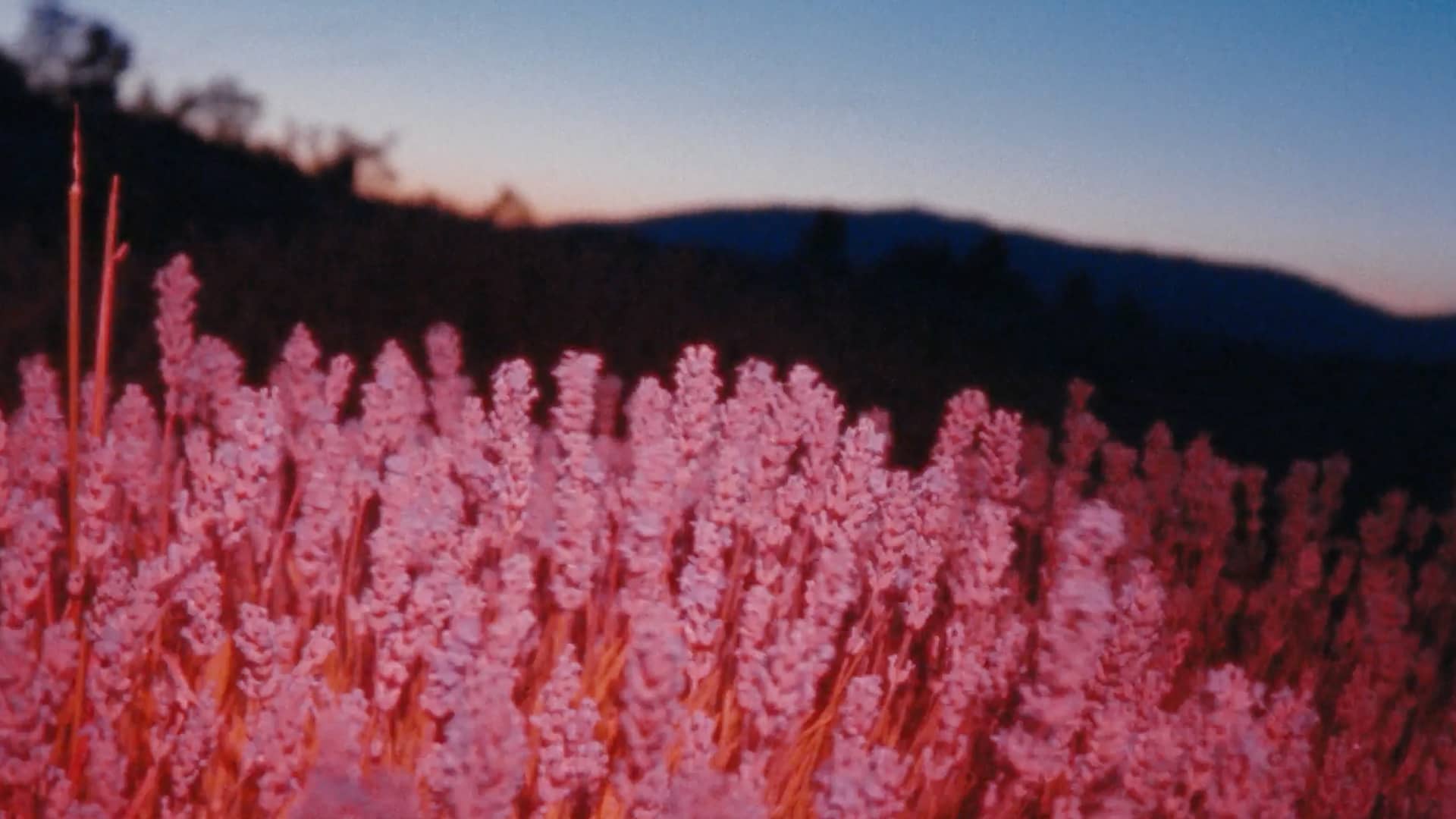 Paul Herrmann // L'Occitane on Vimeo