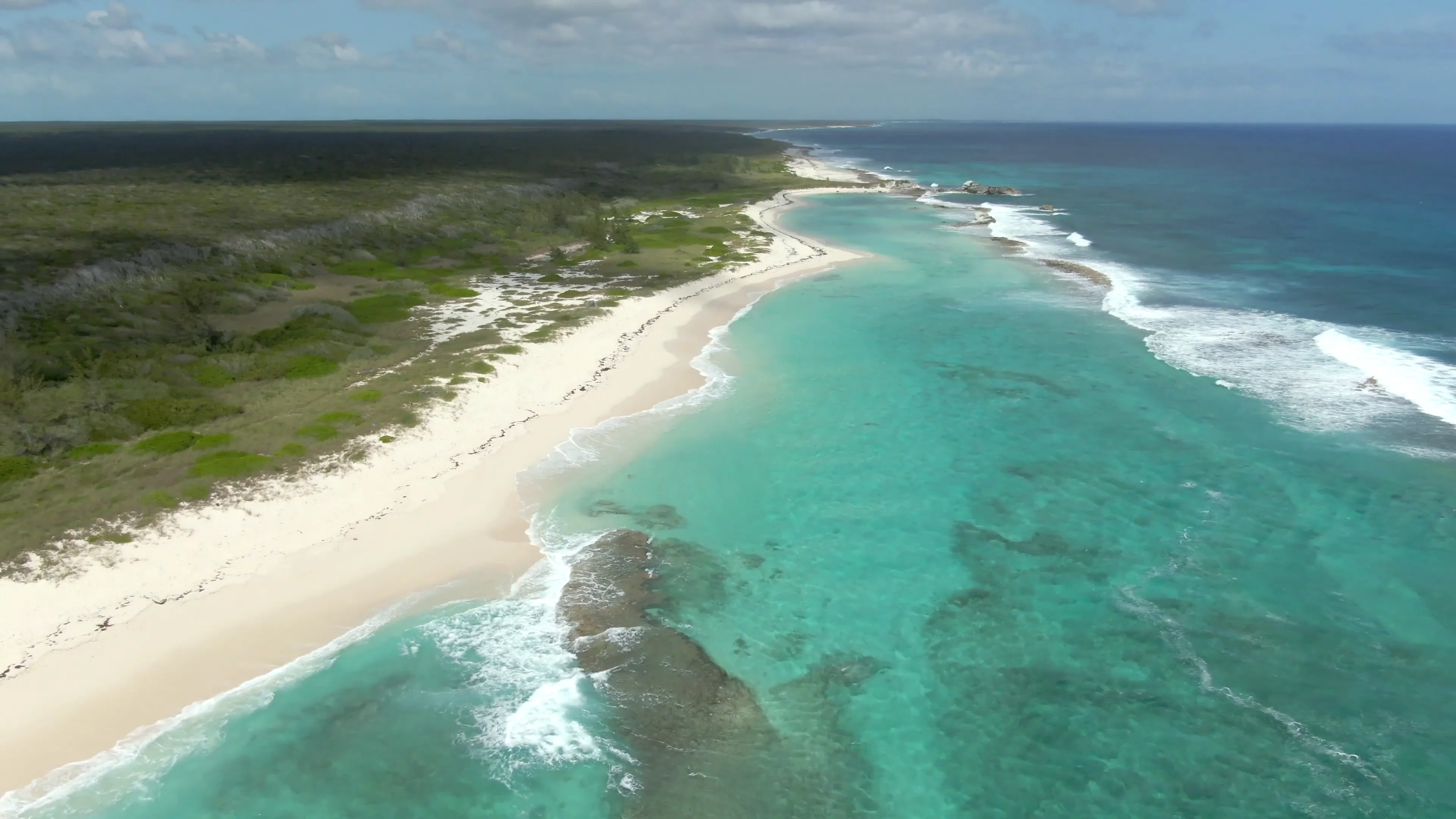 Alexis Abaco Properties - Conch Sound 15 sec - 4K.mov on Vimeo