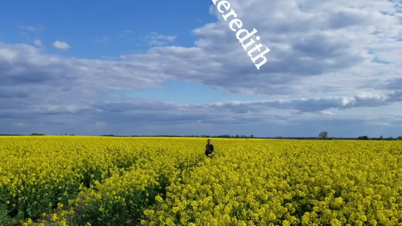 Meredith Z. tutor video introduction on Preply on Vimeo