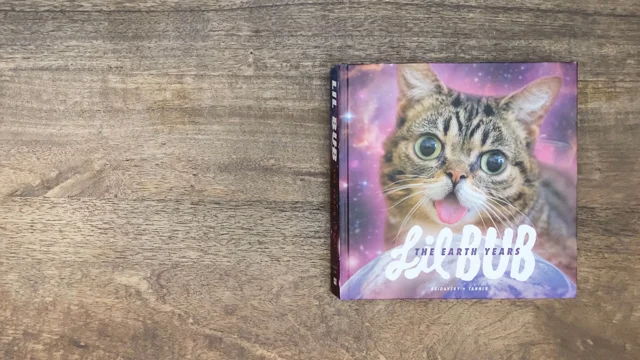 Aesop Rock And Lil Bub