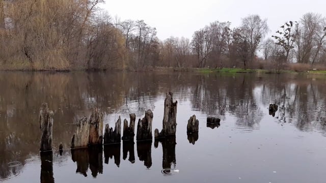 Rain, Emotions, Relaxation. Free Stock Video - Pixabay