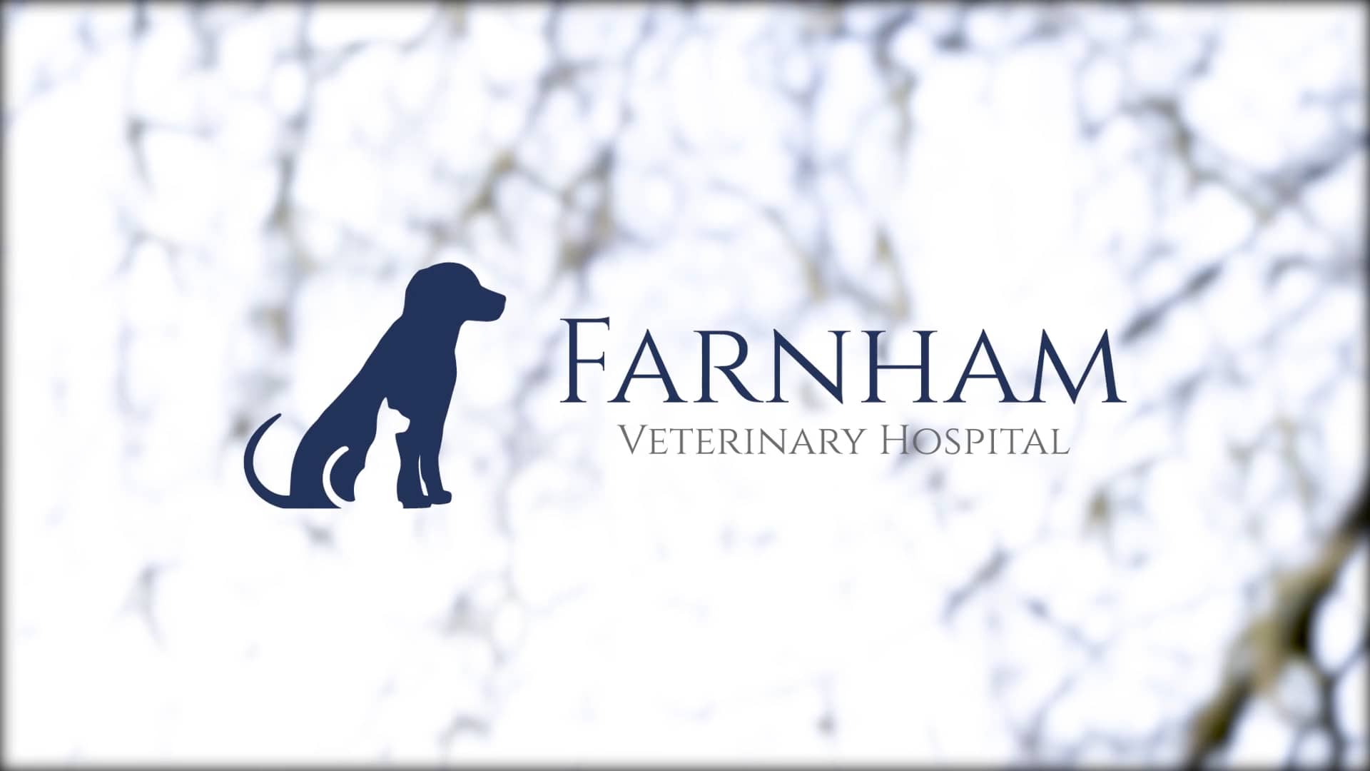 Farnham Veterinary Hospital - Opening on Vimeo