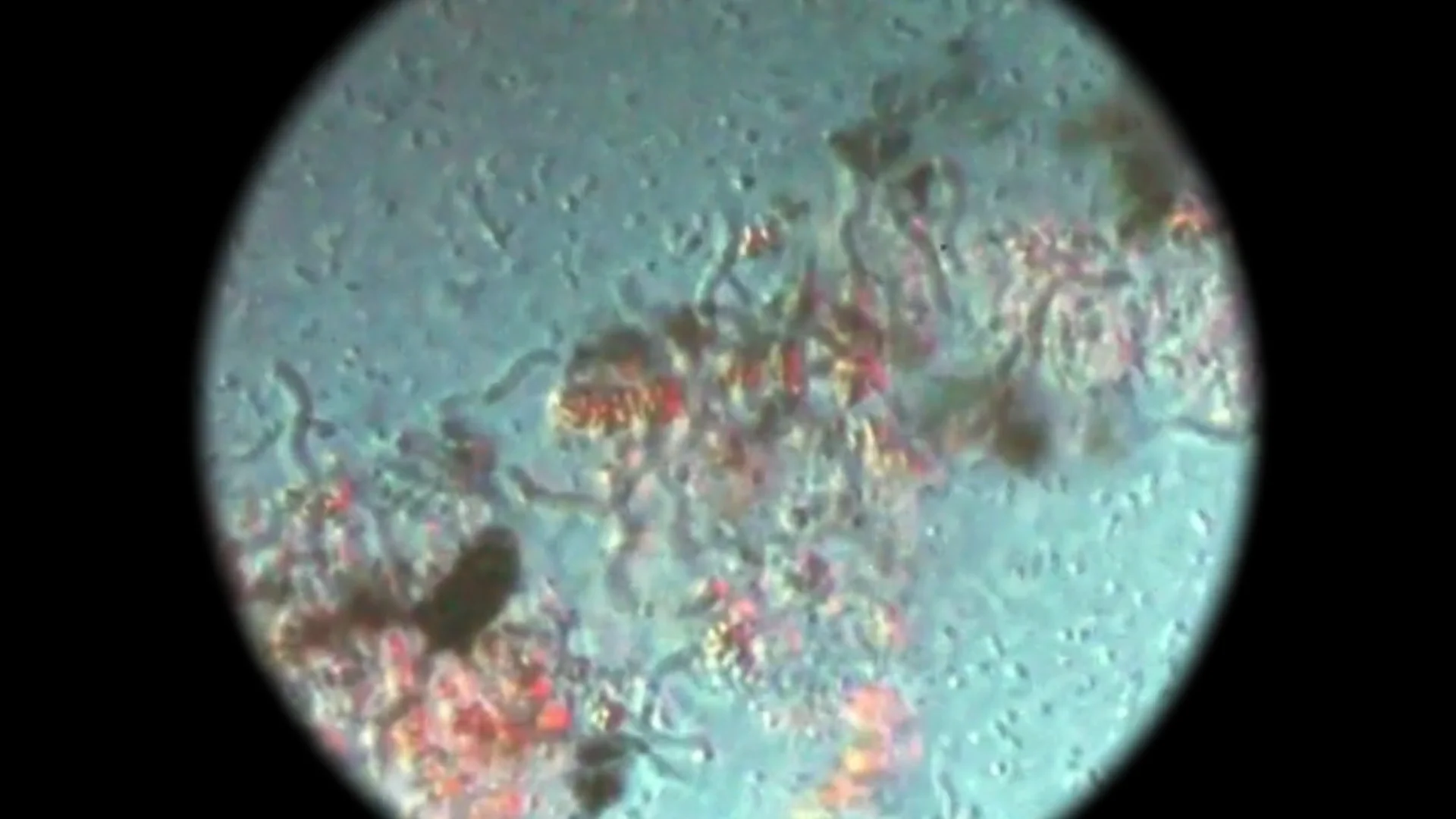 Sila, Silap Inua, Silla