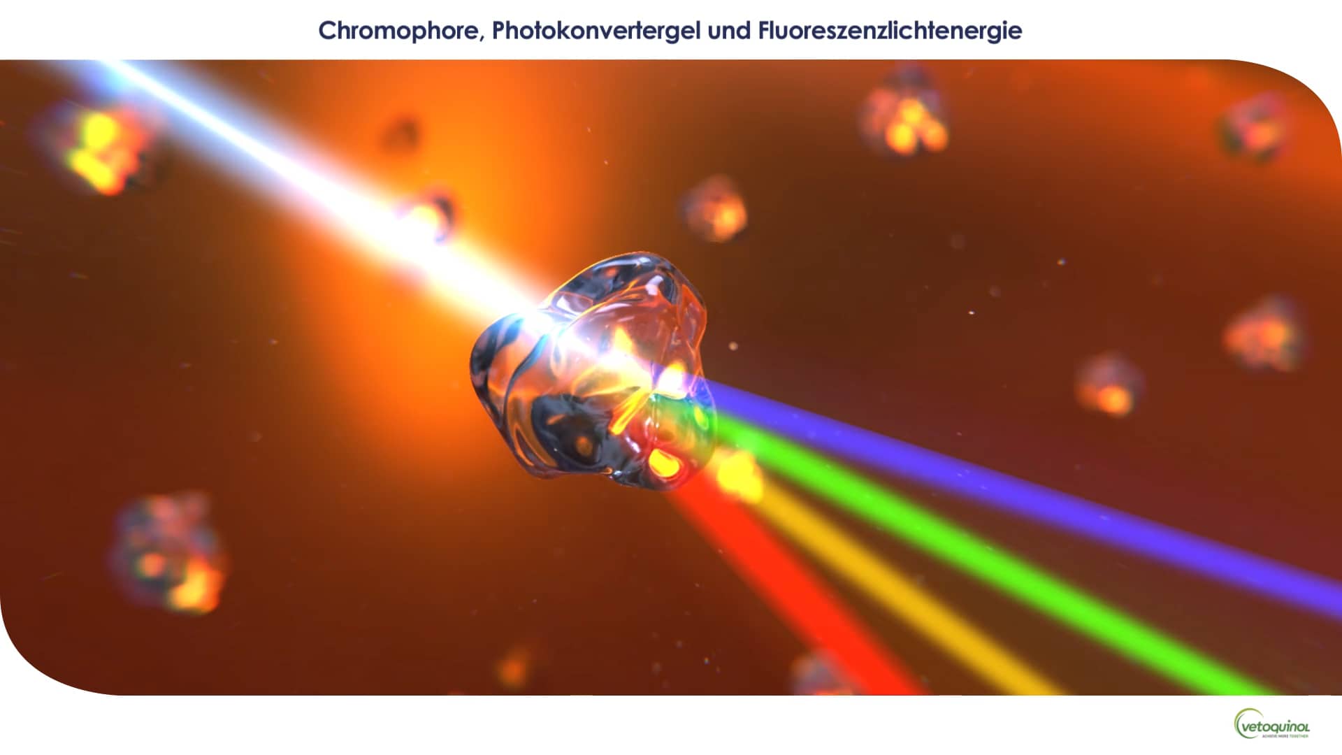 PHOVIA - DAS NEUE LICHT IN DER VETERINÄRDERMATOLOGIE - Seit Juni bei ...