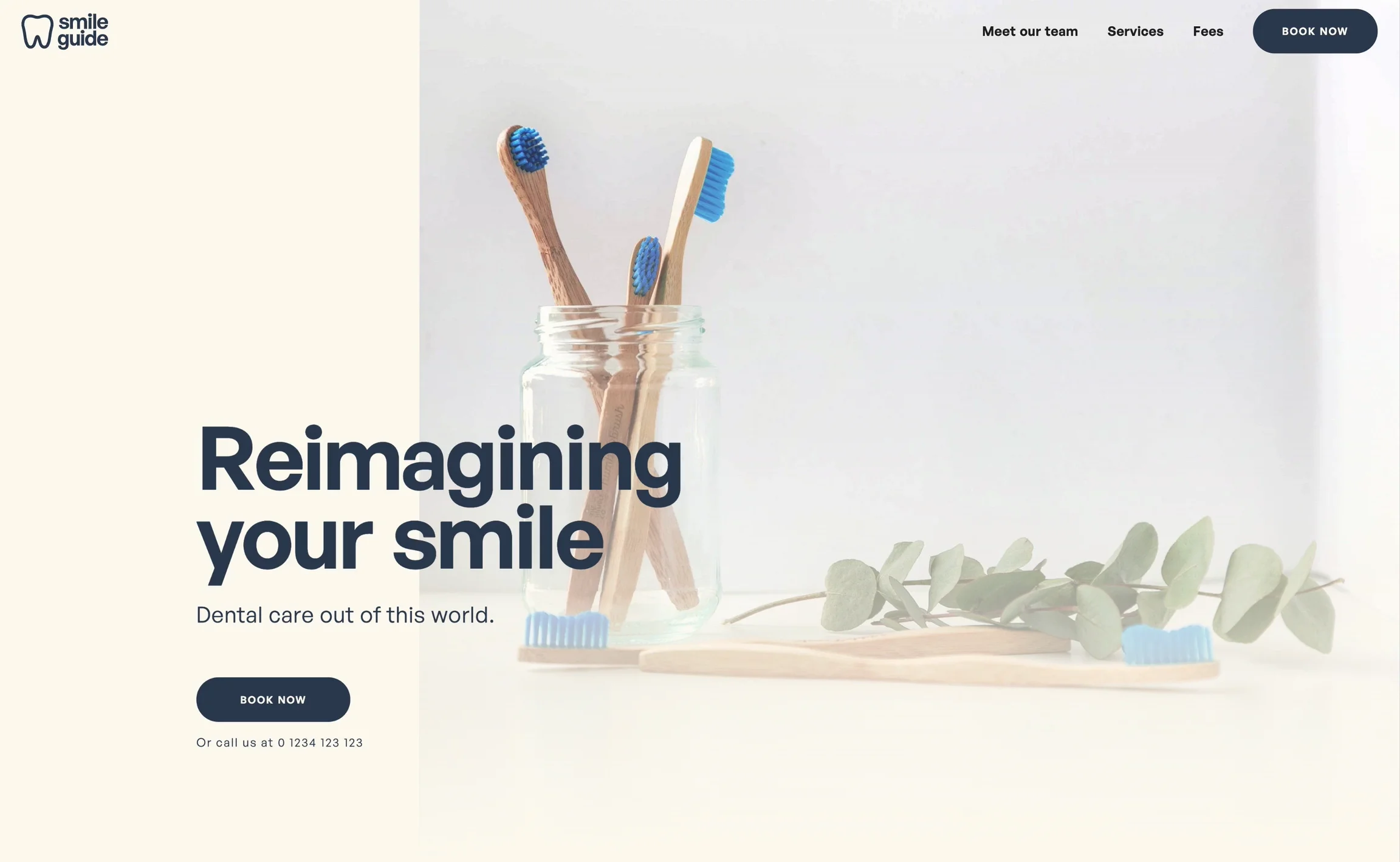 Smile Guide Preview on Vimeo