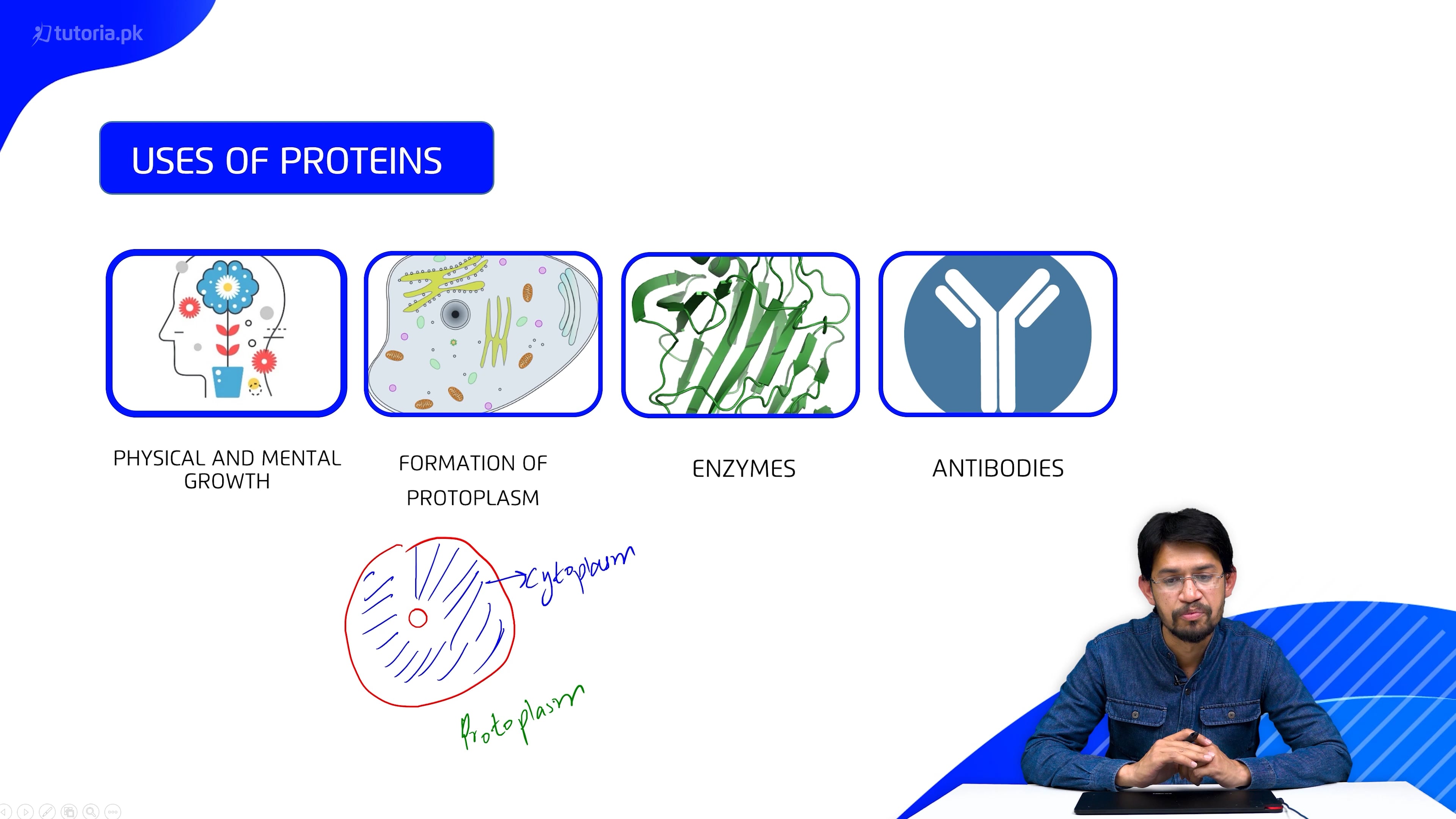 4- Proteins & Its Uses-animated on Vimeo