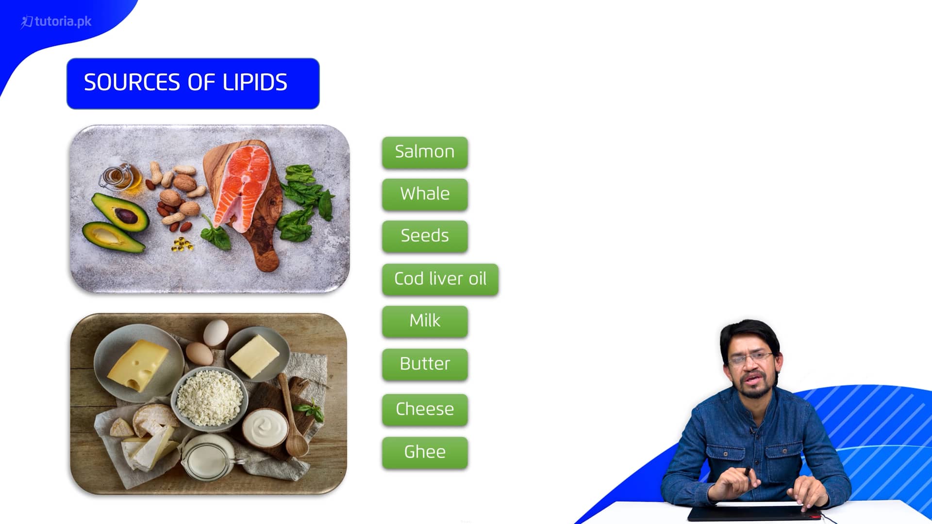 5- Lipids & Its Sources & Uses-animated on Vimeo
