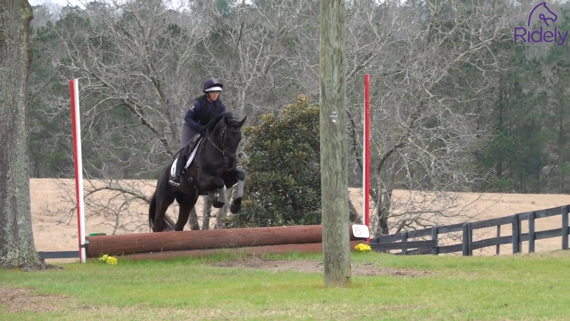 Introducing Cross Country Jumps | Ridely
