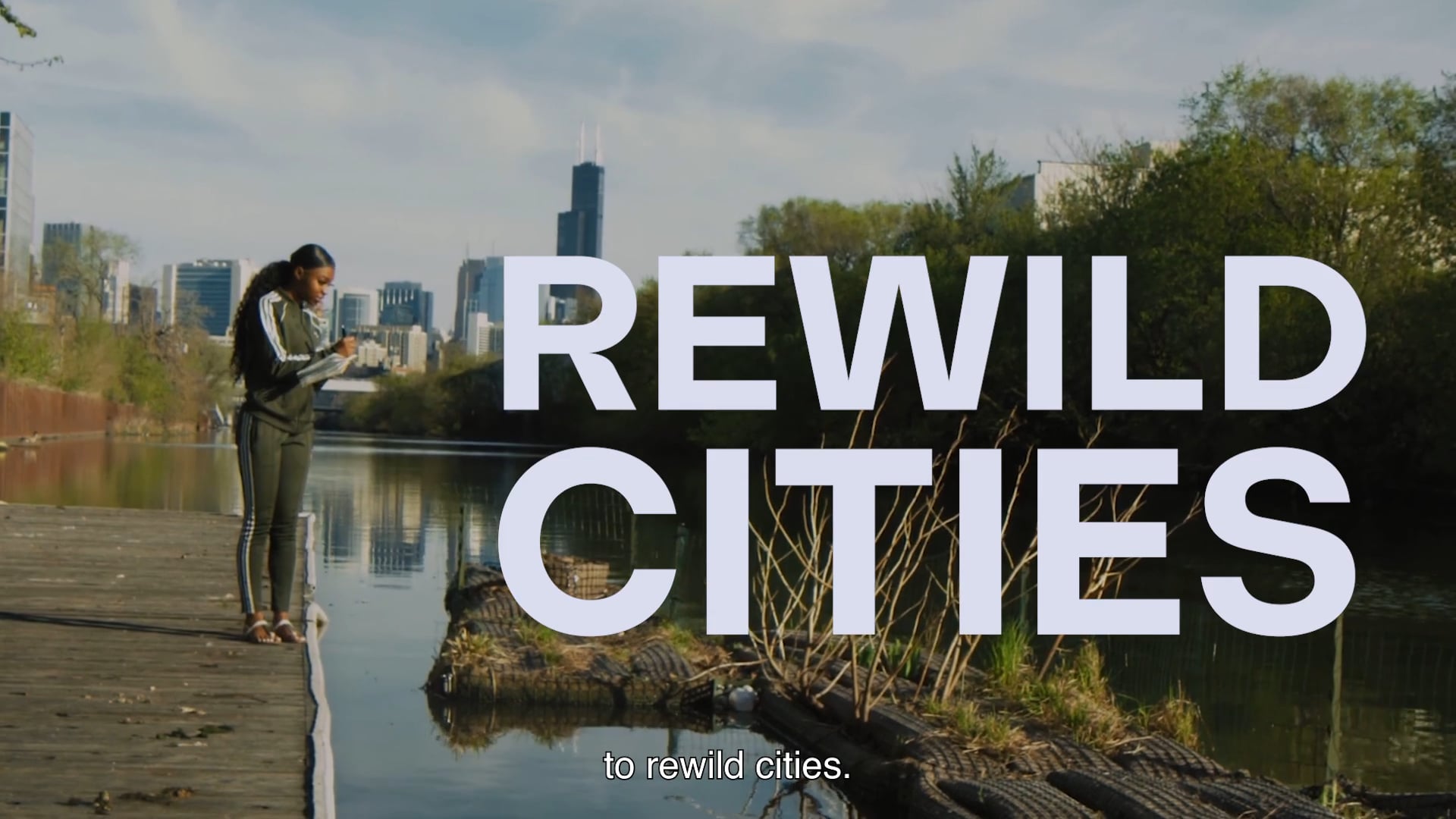 Rewilding Cities on Vimeo