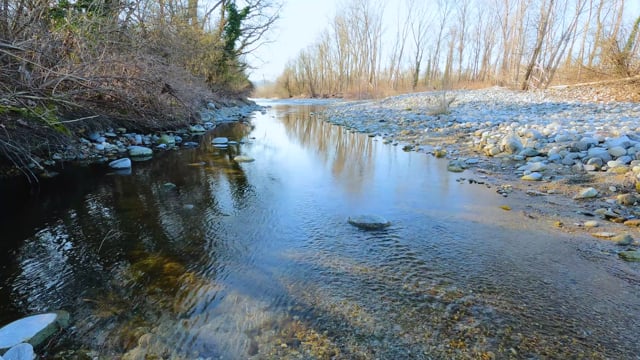 80+ Free Swamp & Nature Videos, HD & 4K Clips - Pixabay