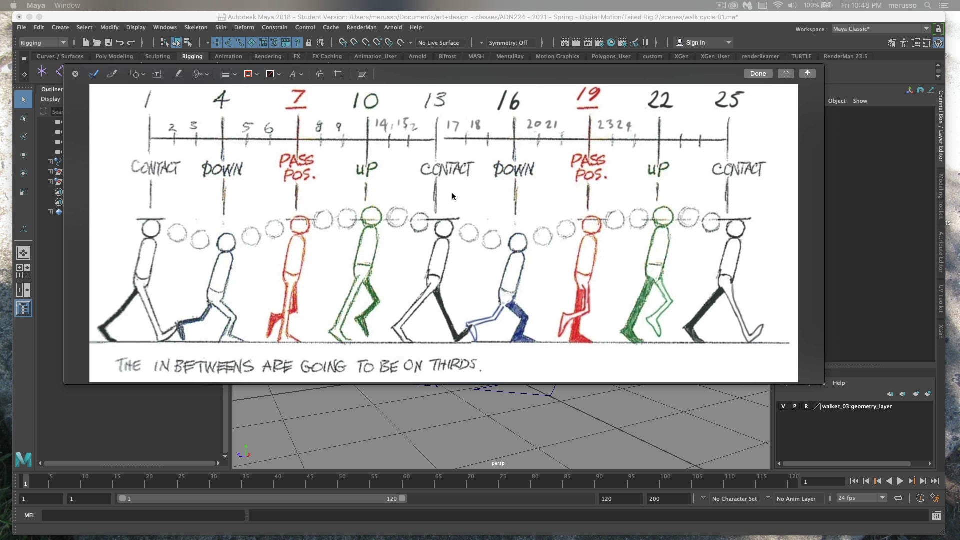 Maya - Animating a Walk Cycle