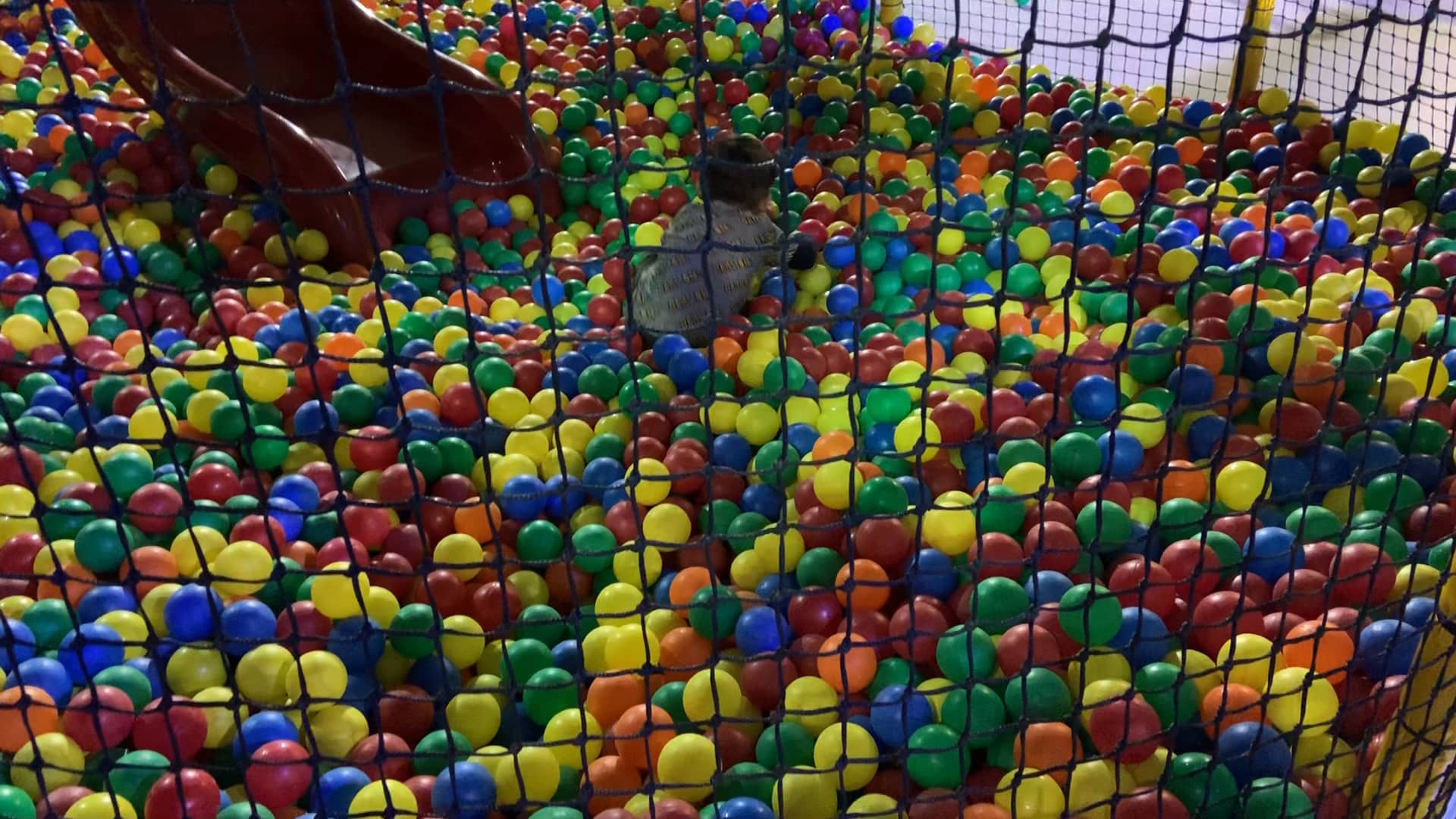 AMS Nov 2019 - Chimpie Champ 2 on Vimeo