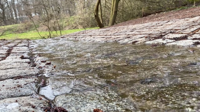 Water Stream Flow - Free video on Pixabay