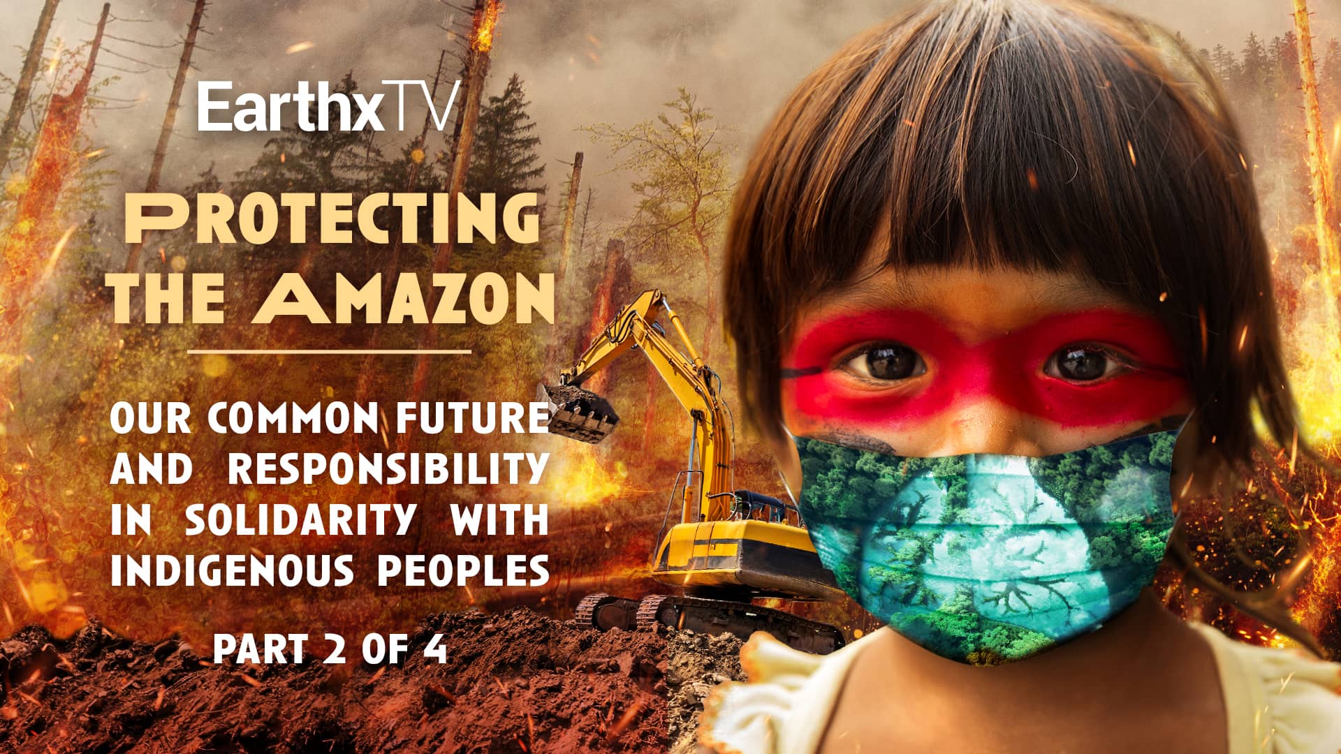 Protecting the Amazon: Our Common Future And Responsibility In ...