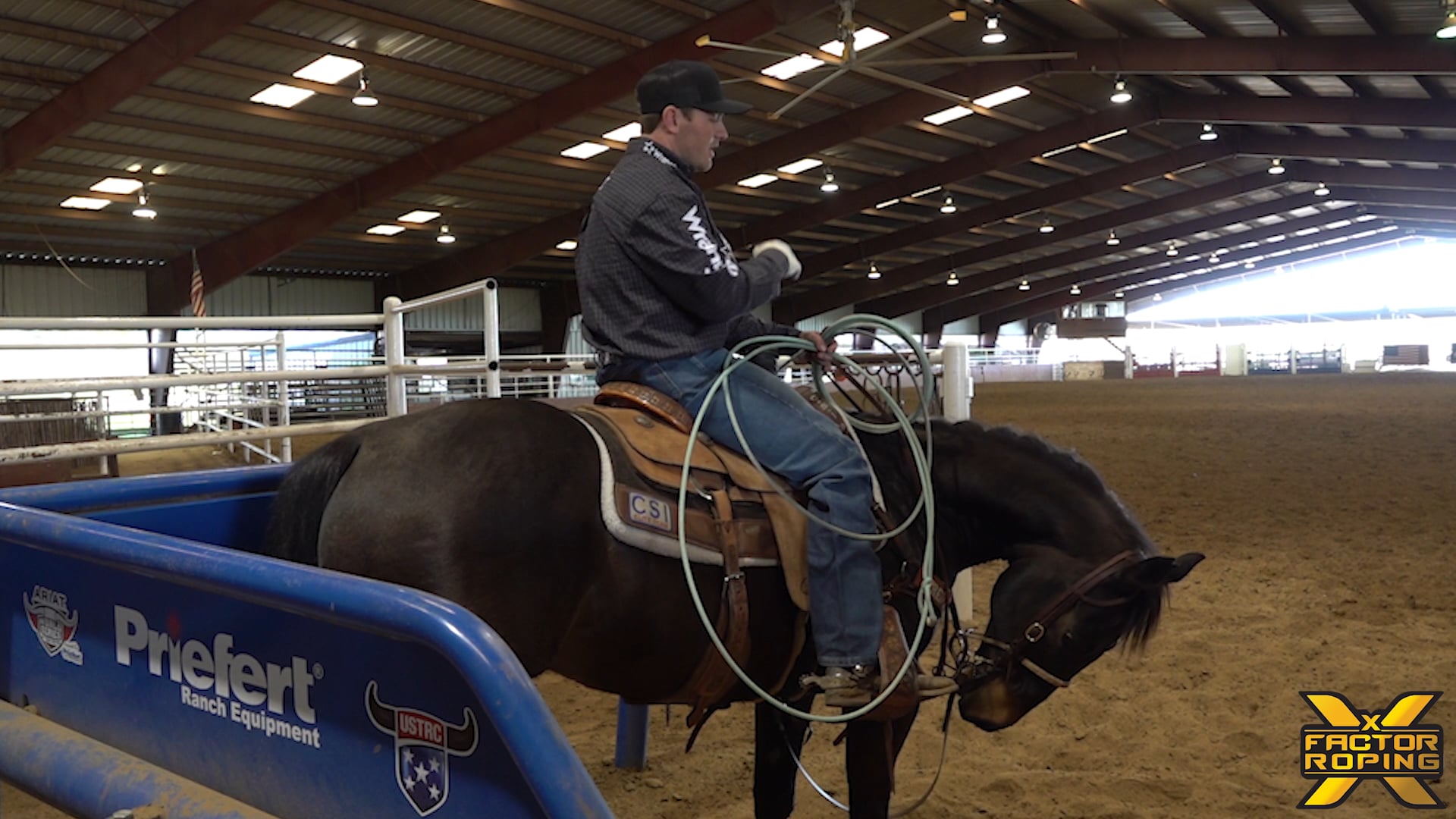 Keeping Your Horse Cool, Calm, and Collected in the Box with Tyler Wade ...