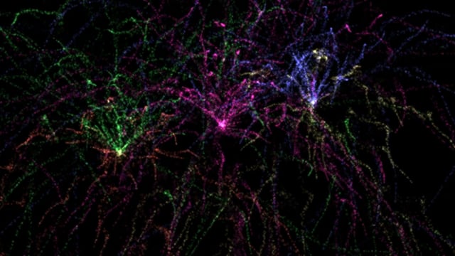 Tela De Araña Hilos Espectáculo - Free video on Pixabay - Pixabay