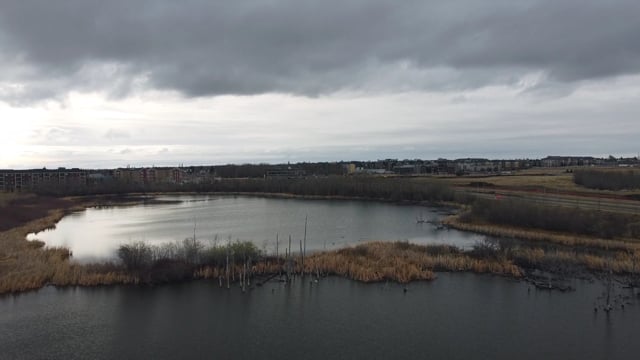 Pond Lake Marsh Free Stock Video - Pixabay